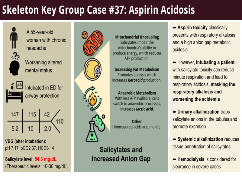 Medications for Hyperphosphatemia - Renal Fellow Network