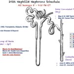 2026 NephSIM Nephrons: Applications Due 11/13 (For Medical Students ...
